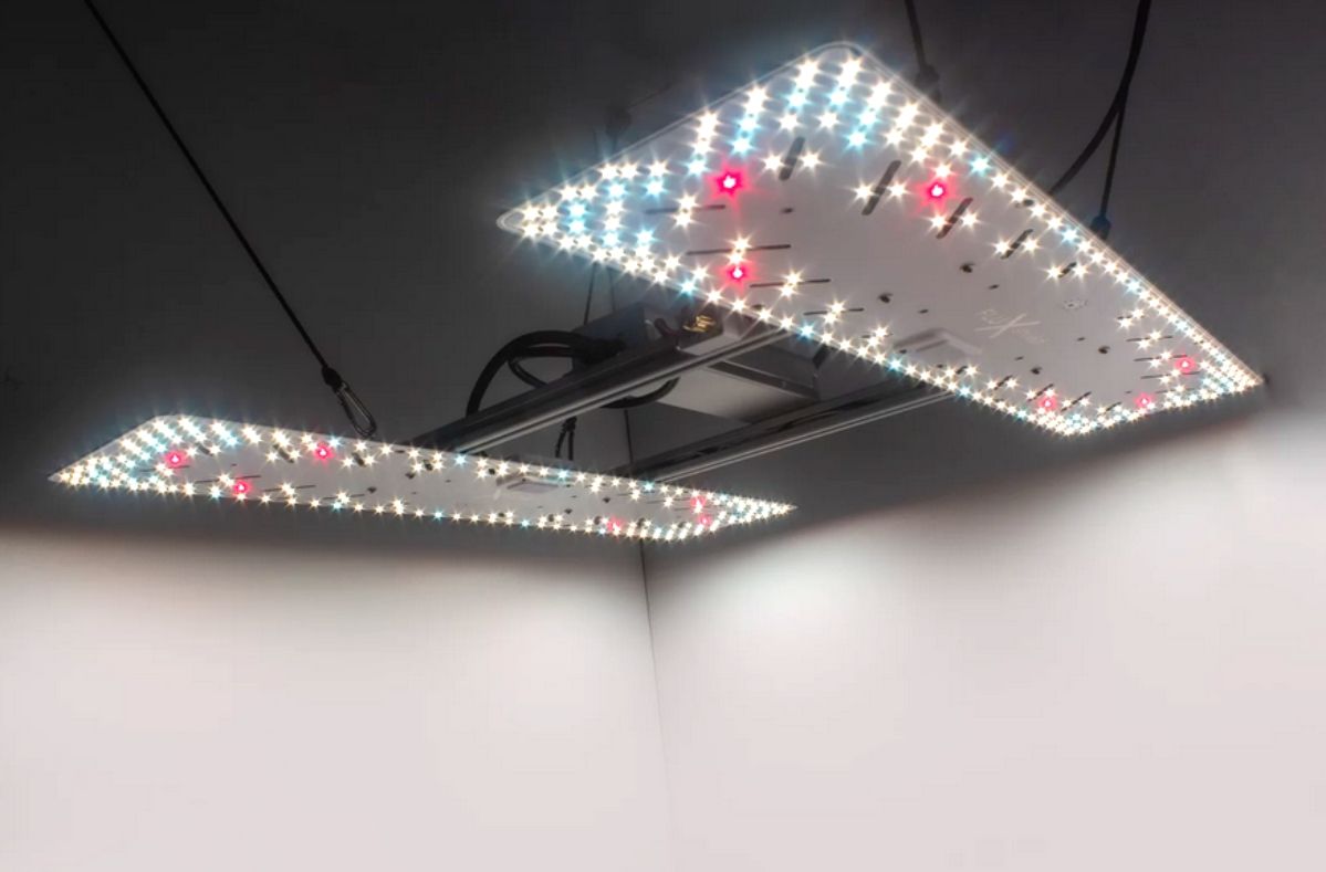 Crescience Wingman 600L - 220 Watt Vollspektrum LED